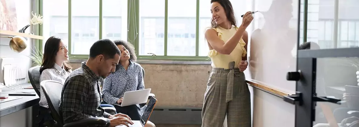 Project Details – The Synergy Sphere